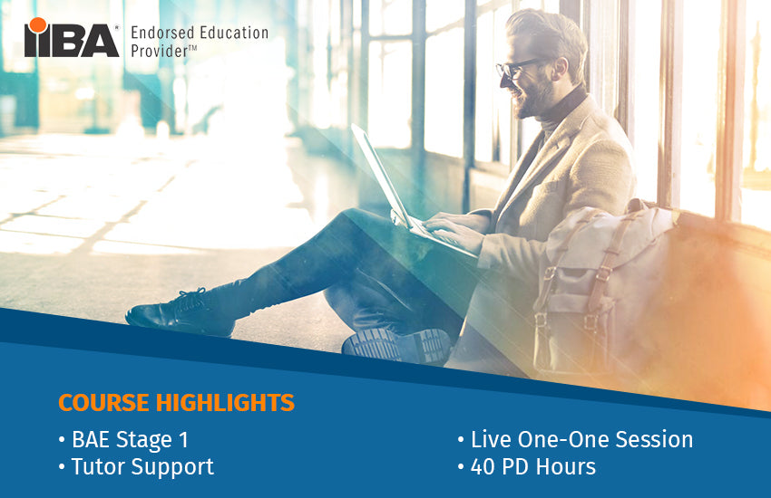 Beginner Business Analysis Course | Business Analysis Excellence ...